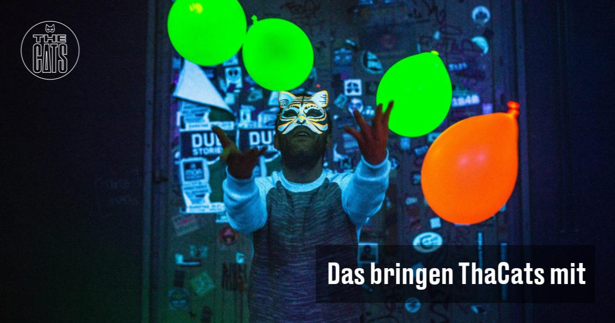 Das bringen TheCats mit | The Cats